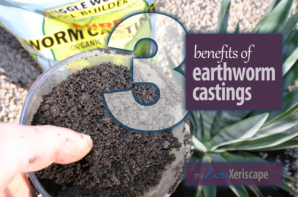 Benefits of earthworm castings - thezenxeriscape.com